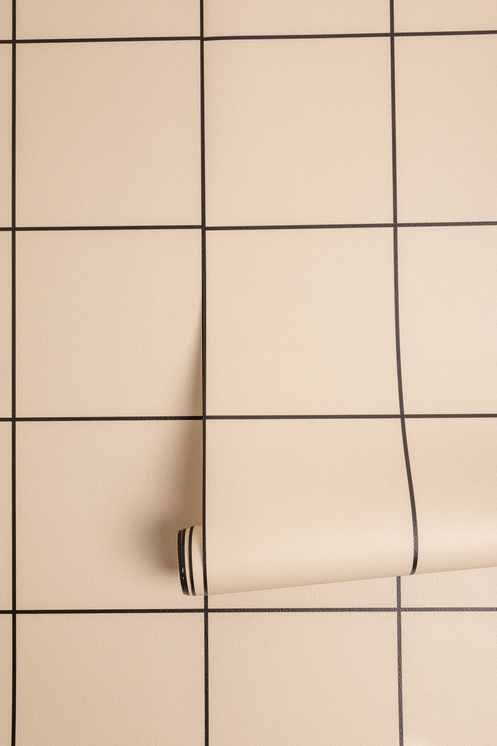 Poppy Large Thin Lines Wallpaper Grid Background – Minimalist Appeal ...